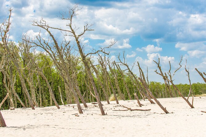 Slowinski National Park Private Tour - Value and Practical Considerations