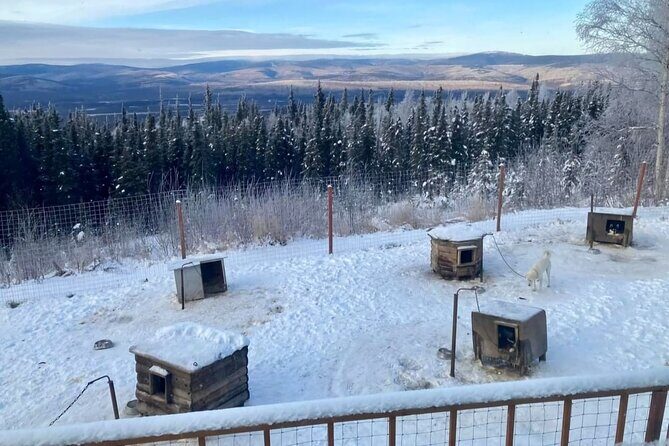 Sluice Box Kennel Experience - Who Should Consider This Tour?
