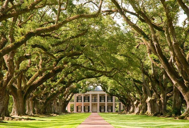Small Airboat and Oak Alley Plantation Tour from New Orleans - Introduction