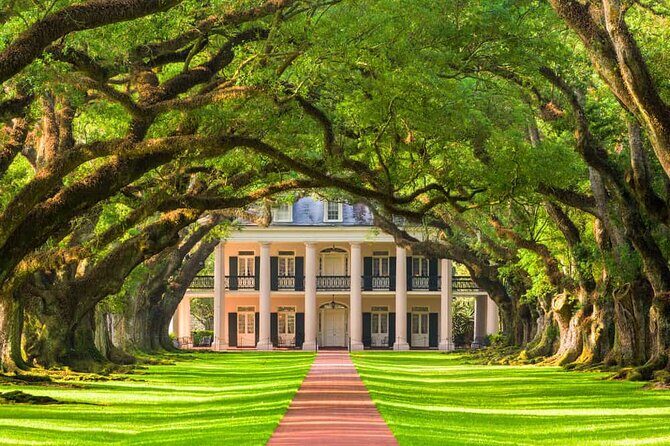 Small Airboat and Oak Alley Plantation Tour from New Orleans - Key Points