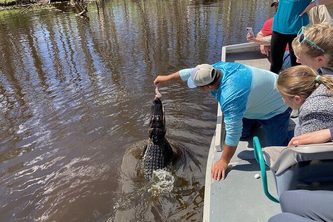 Small Airboat and Oak Alley Plantation Tour from New Orleans - The Value and Overall Experience