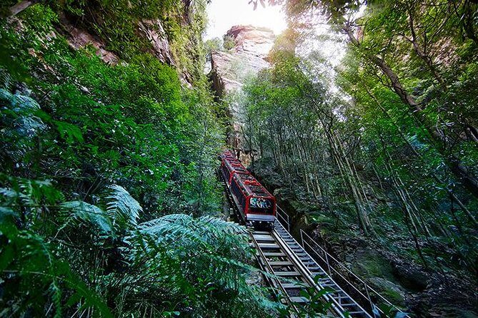 Small All-Inclusive Blue Mountains, Scenic World, Lunch, Cruise - Who Will Love This Tour?
