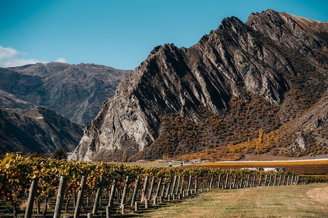 Small Batch Private Wine Experience in Gibbston, Queenstown. - Who is This Tour Best For?