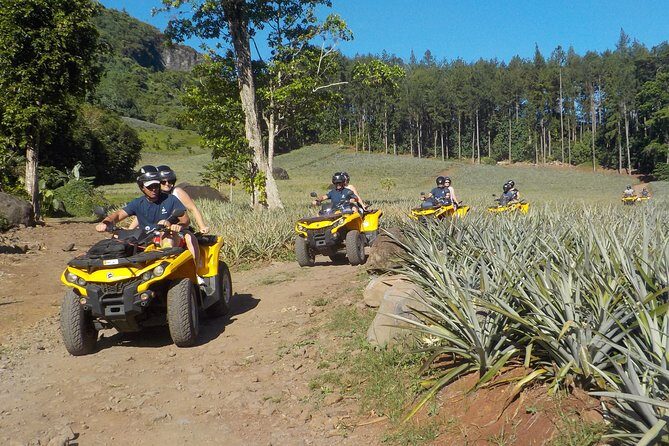 Small Combo 2h30 Quad + 1h Jetski - What to Expect in This Moorea Adventure
