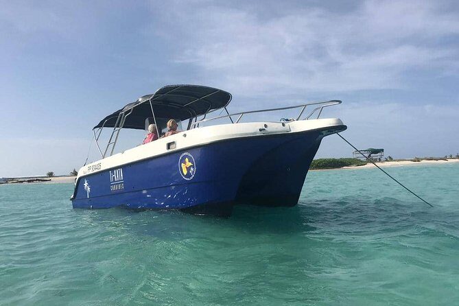 Small Day Cruise (Ilet caret, mangrove, coral reef - Practical Details and Value for Money