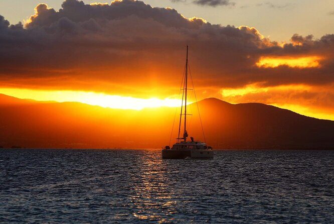 Small Day Cruise (Ilet caret, mangrove, coral reef - The Sum Up: Why This Cruise Is a Great Choice