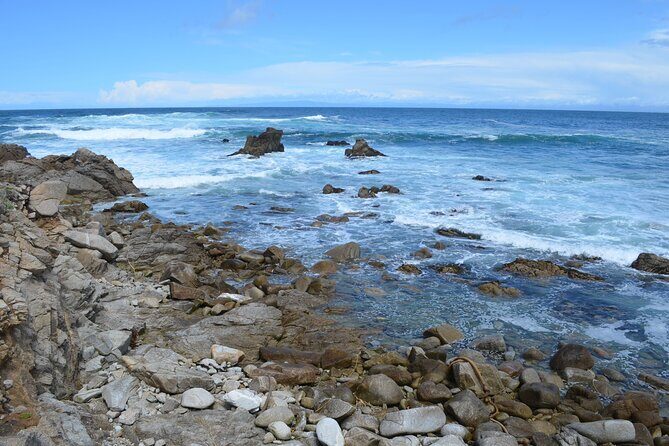 Small Group | 1 Day Tour Through Monterey From San Francisco - A Deep Dive into the Monterey Day Tour