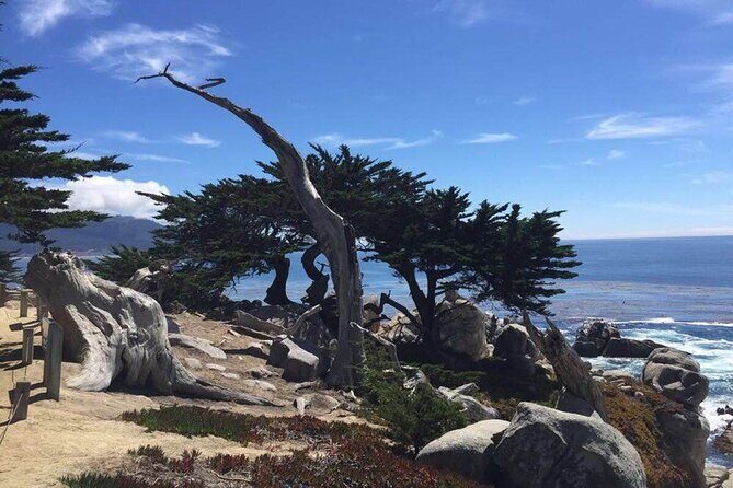 Small Group | 1 Day Tour Through Monterey From San Francisco - Practical Considerations
