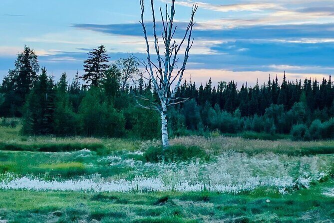Small Group 18-hole Golf Experience in Fairbanks - The Practical Side: What Travelers Need to Know