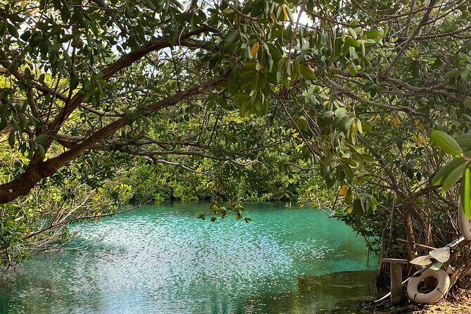 Small-Group 3 Cenotes Adventure Tour - FAQ
