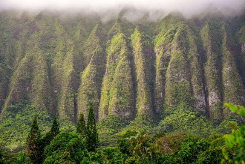 Small Group 3 Hour Honolulu Sunrise Tour with Malasadas - FAQ
