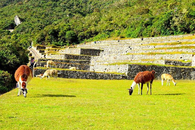 Small Group: 4-Day Inca Trail Trek to Machu Picchu - Important Information