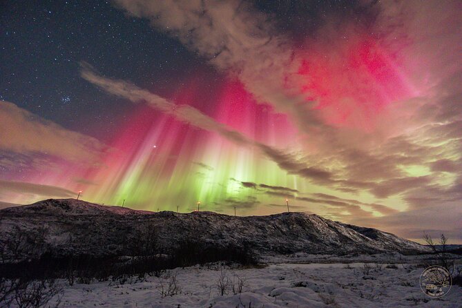 Small Group 4x4 Van Journey in Search of the Northern Lights - Booking and Cancellation Policy