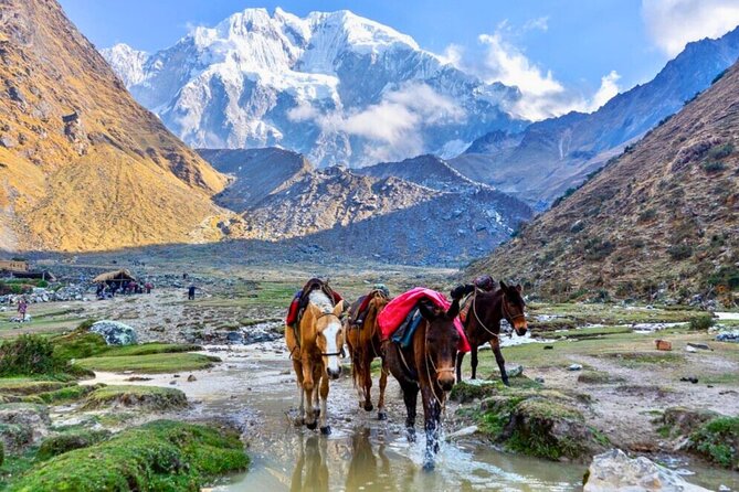 Small Group 5 Days Salkantay and Machu Picchu by Llactapata Tour - Why Choose This Tour