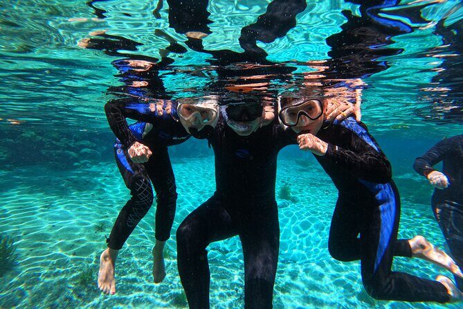 Small Group 6 Passenger Manatee Swim - The Experience from a Traveler’s Perspective