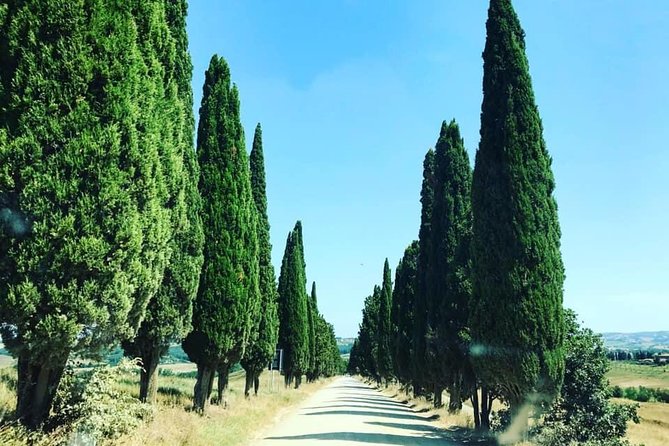 Small Group (7) Chianti-Side Wine Tour With Mercedes V Class Van - Tasting Lunch at Rocca Di Cispiano Estate