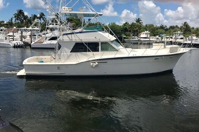 Small Group 7 Mile Beach Stingray City and Coral Gardens Tour - Who Should Consider This Tour?