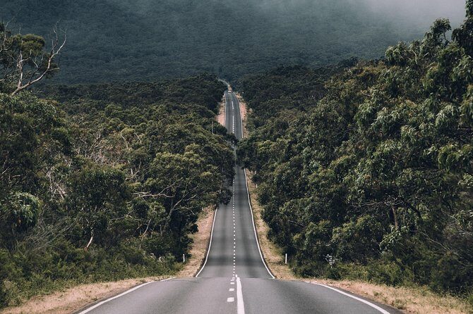 Small Group (8 ppl ) - Grampians Hiking Day Tour from Melbourne - An In-Depth Look at the Tour Experience