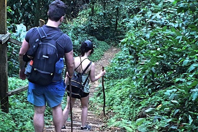Small-Group Adventure Trek in Grand Etang National Park - An Overview of the Trek Experience