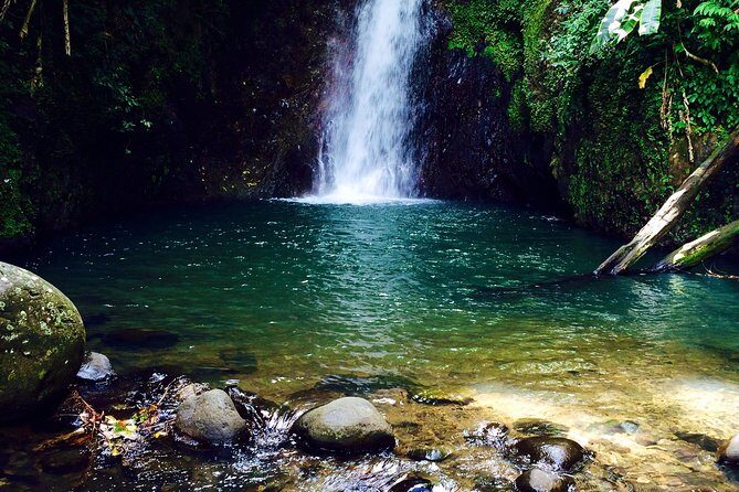Small-Group Adventure Trek in Grand Etang National Park - Who Would Love This Tour?