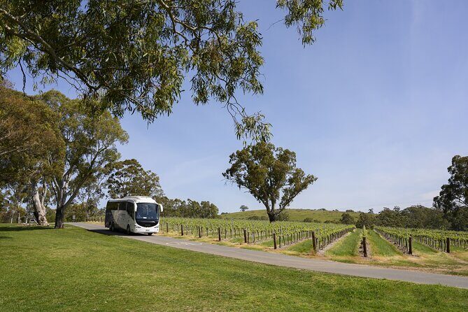 Small Group All Inclusive Barossa Valley Food and Wine Tour - Introduction