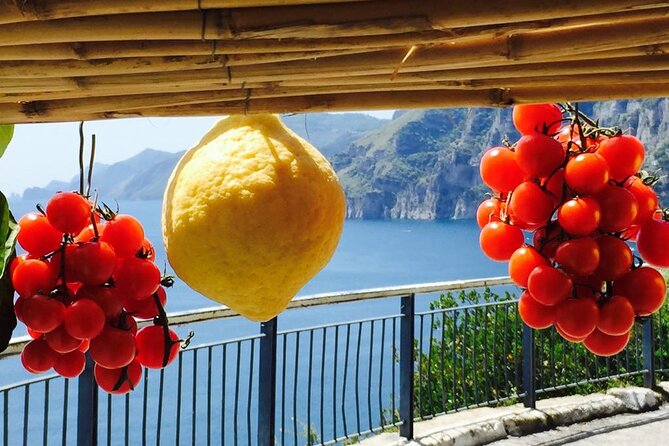 Small Group Amalfi Coast Tour From Sorrento in a Mercedes Van - Visiting Positano