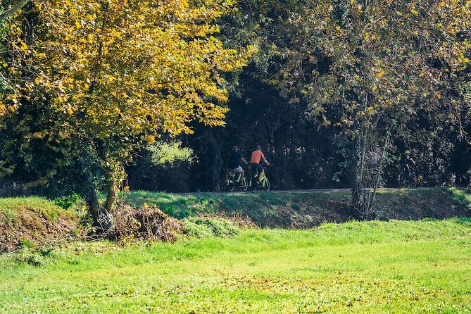 Small-Group Amarone Wine E-Bike Tour From Verona - Key Points