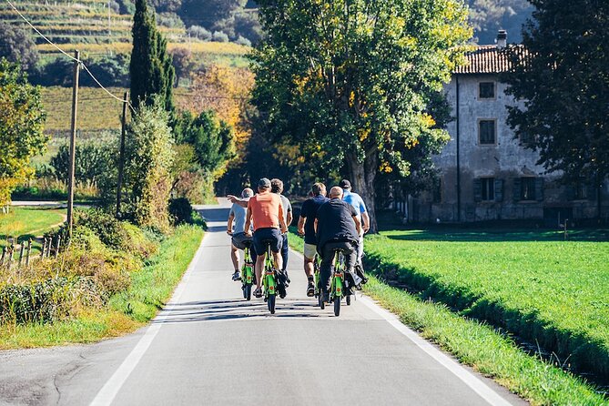 Small-Group Amarone Wine E-Bike Tour From Verona - Participant Requirements and Safety