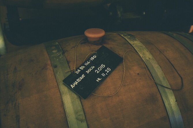 Small-Group Amarone Wine E-Bike Tour From Verona - Whats Included in the Tour