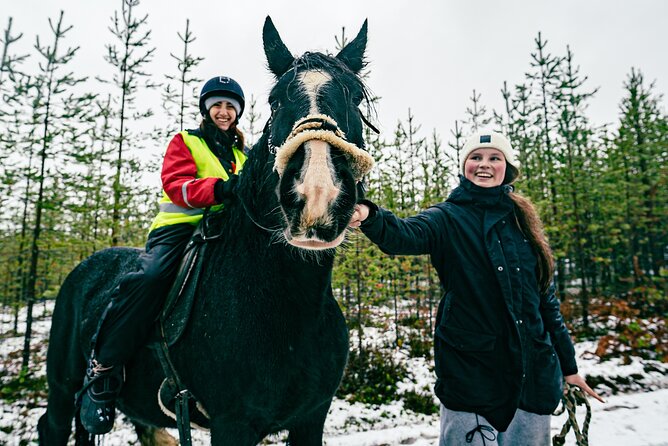 Small-Group Arctic Circle Horse Riding from Rovaniemi - The Value in the Details: Why This Ride Matters