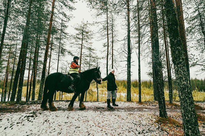 Small-Group Arctic Circle Horse Riding from Rovaniemi - Navigating Practical Details