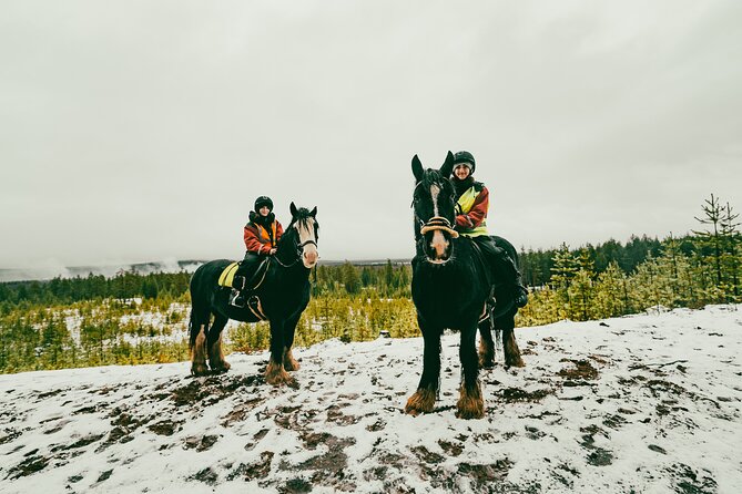 Small-Group Arctic Circle Horse Riding from Rovaniemi - Authentic Experiences: What Travelers Say