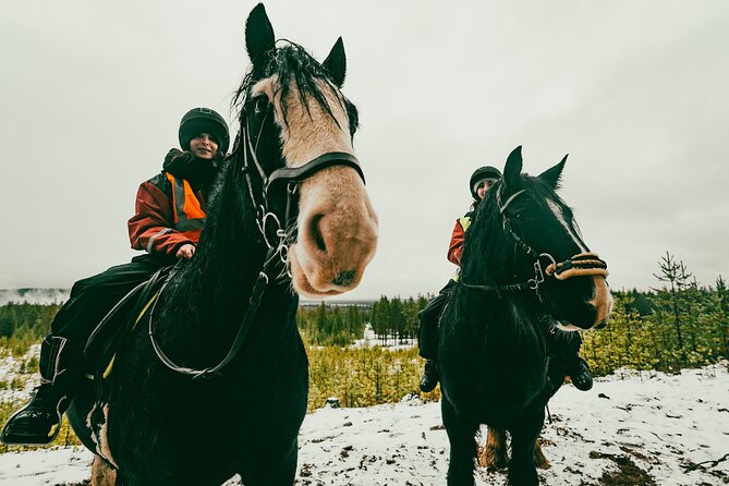 Small-Group Arctic Circle Horse Riding from Rovaniemi - Who Should Consider This Tour?