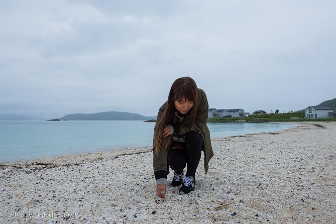 Small-group Arctic Landscapes Sightseeing Review - Traveler Feedback and Recommendations