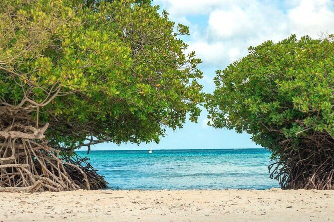 Small-Group Aruba Scuba Diving for Non-Certified Divers - Introduction: A gentle start to underwater exploration