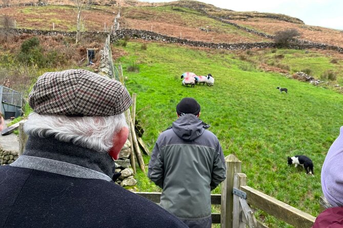 Small Group Aughnanure Castle, Sheepdog Demo & Connemara Tour - Logistics and Inclusions