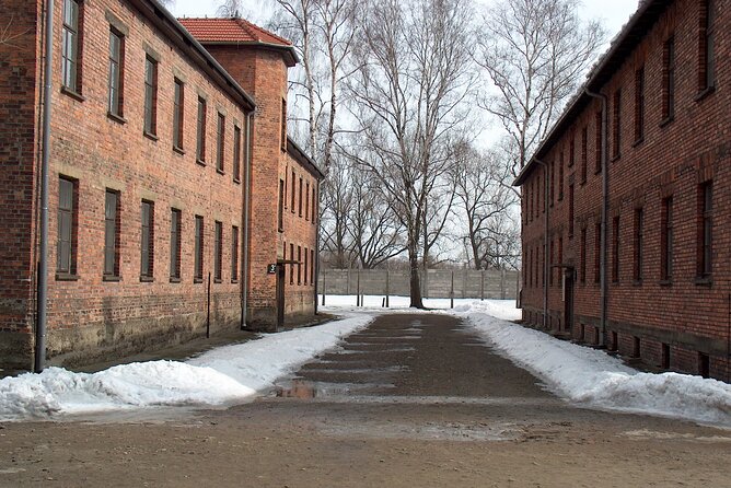 Small Group Auschwitz-Birkenau Guided Tour from Krakow ABTA - The Value of this Tour