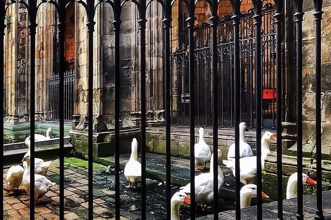 Small Group Barcelona Walking Tour, Flamenco Show & Tapas Dinner - Reviews and Feedback