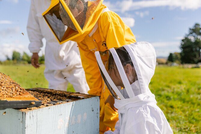 Small-Group Beekeeping Experience in Tauherenikau - Small-Group Beekeeping Experience in Tauherenikau: A Hands-On Look at NZ’s Finest Manuka Honey