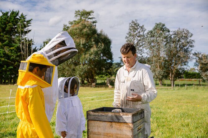 Small-Group Beekeeping Experience in Tauherenikau - An In-Depth Look at the Beekeeping Tour Experience