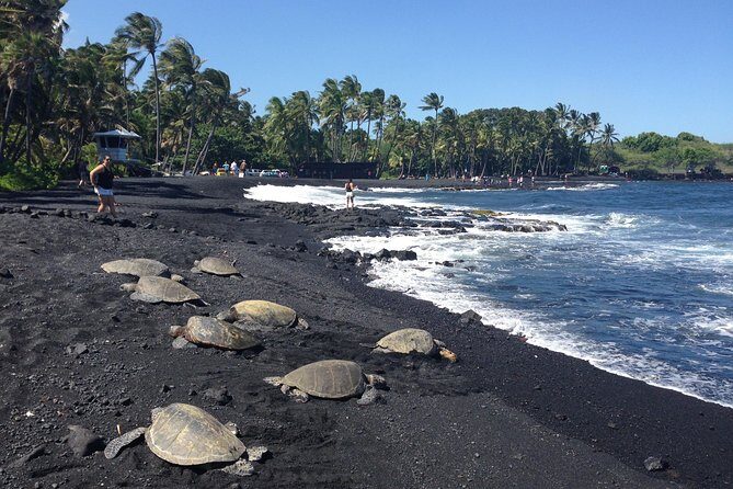 Small-Group Big Island Tour: Hawaii Volcanoes National Park and Kona Coffee Farm - A Practical Guide to the Big Island Experience