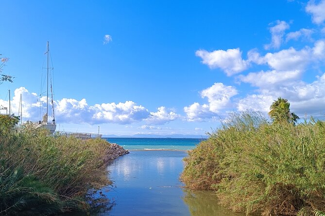 Small-Group Bike Tour of Athens and Riviera - The Sum Up