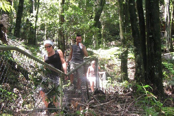 Small Group Blue Mountains Wildlife & Bushwalk Tour From Sydney - FAQs