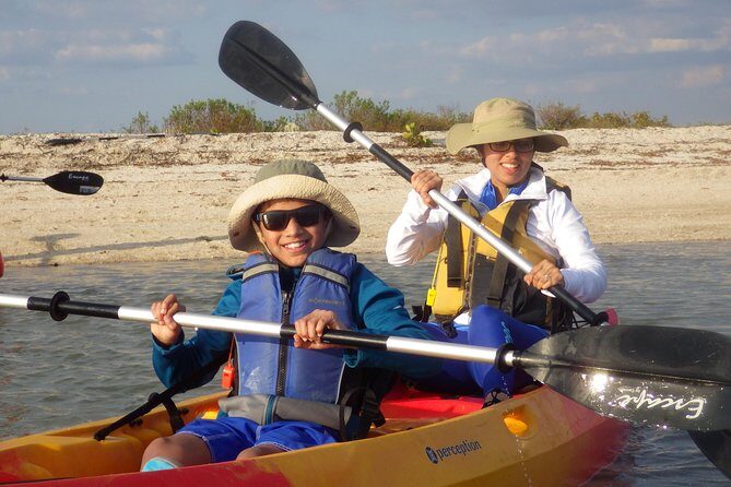 Small Group Boat, Kayak and Walking Guided Eco Tour Everglades - A Detailed Look at the Small Group Boat, Kayak, and Walking Guided Eco Tour of the Everglades