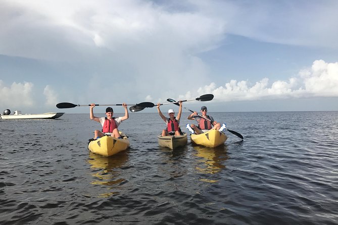 Small Group Boat, Kayak and Walking Guided Eco Tour in Everglades National Park - Naturalist-Led Exploration of Everglades