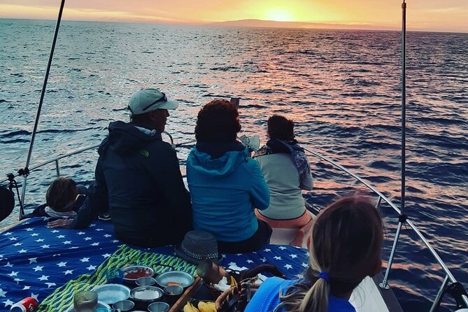 Small Group Boat Whale and Dolphin Watching Tour - Final Thoughts: Is This Tour for You?