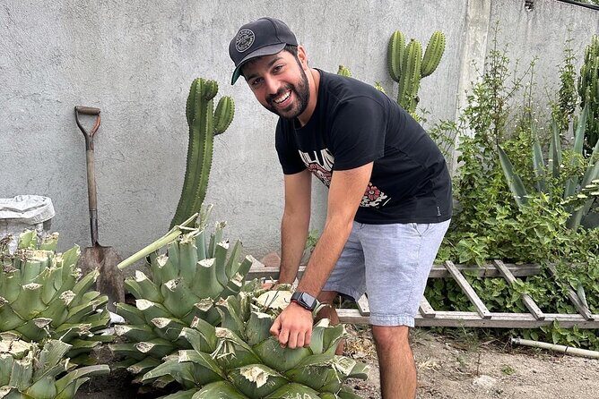 Small Group Boerve del Agua and Mezcal Tour from Oaxaca Centro - Practical Details & Tips