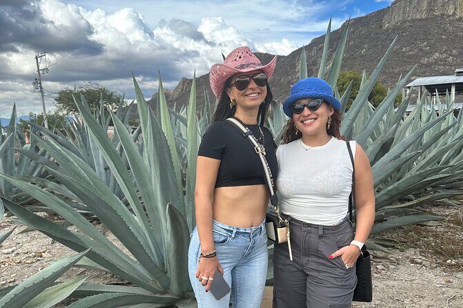 Small Group Boerve del Agua and Mezcal Tour from Oaxaca Centro - The Sum Up