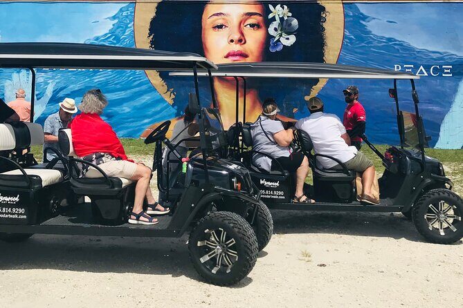 Small-Group Brewery Golf Cart Tour of Wynwood with a Local Guide - The Experience in Detail