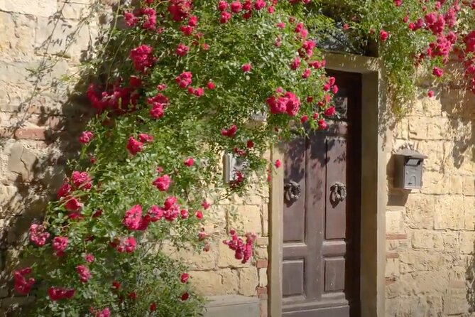Small Group Brunello Di Montalcino Wine Tour From Siena - Tour Logistics and Accessibility